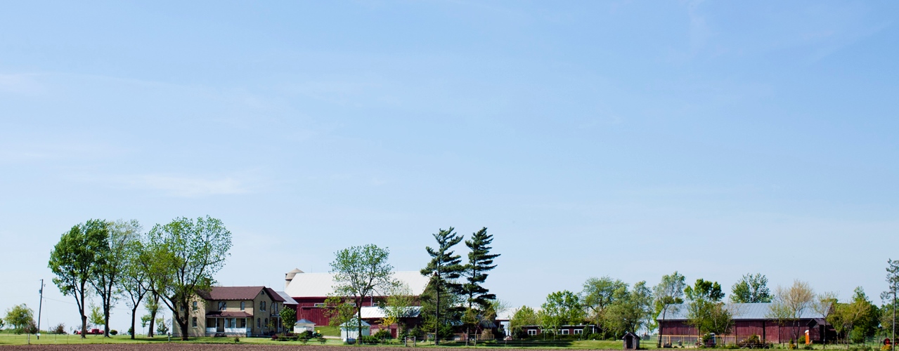 Barns & Capacity - Mulberry Lane Farm - Wedding Barn Venue